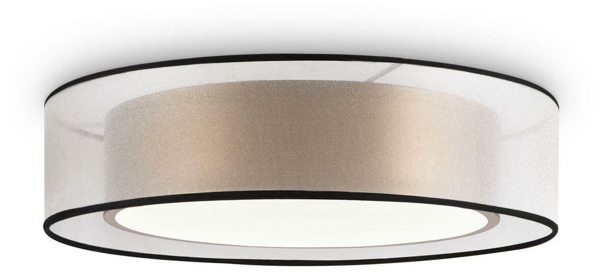 Потолочный светодиодный светильник Freya Zoticus FR6005CL-L36G