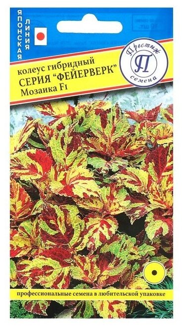 Семена цветов Колеус 'Фейерверк' Мозаика F1, О, 10 шт