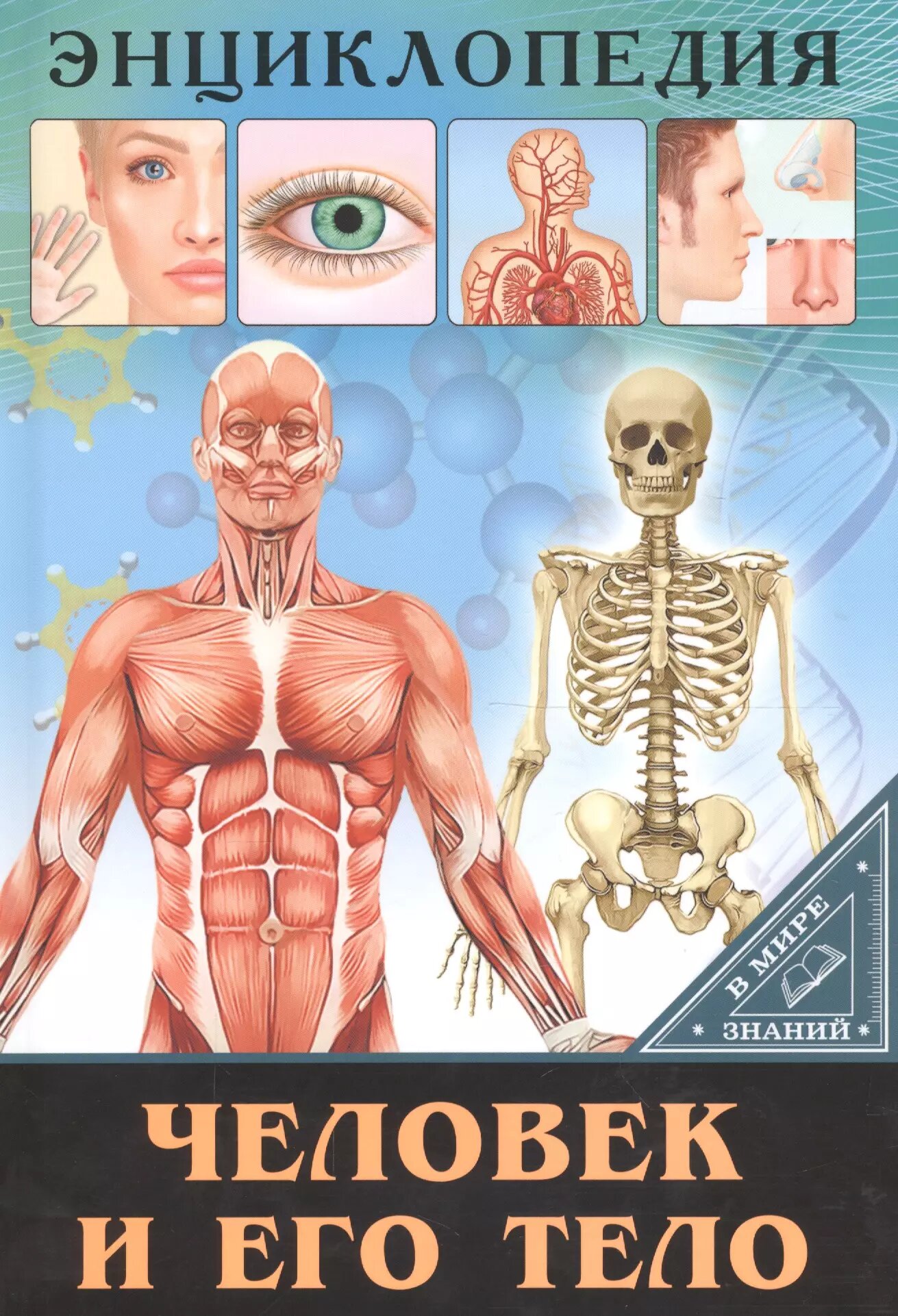 Энциклопедия. В мире знаний. Человек И ЕГО тело