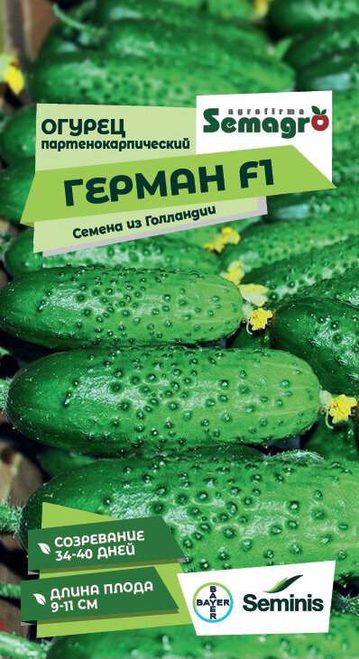 SEMINIS Огурцы Герман, Жозефино, Мадрилене F1 (3 пакета по 5 шт)