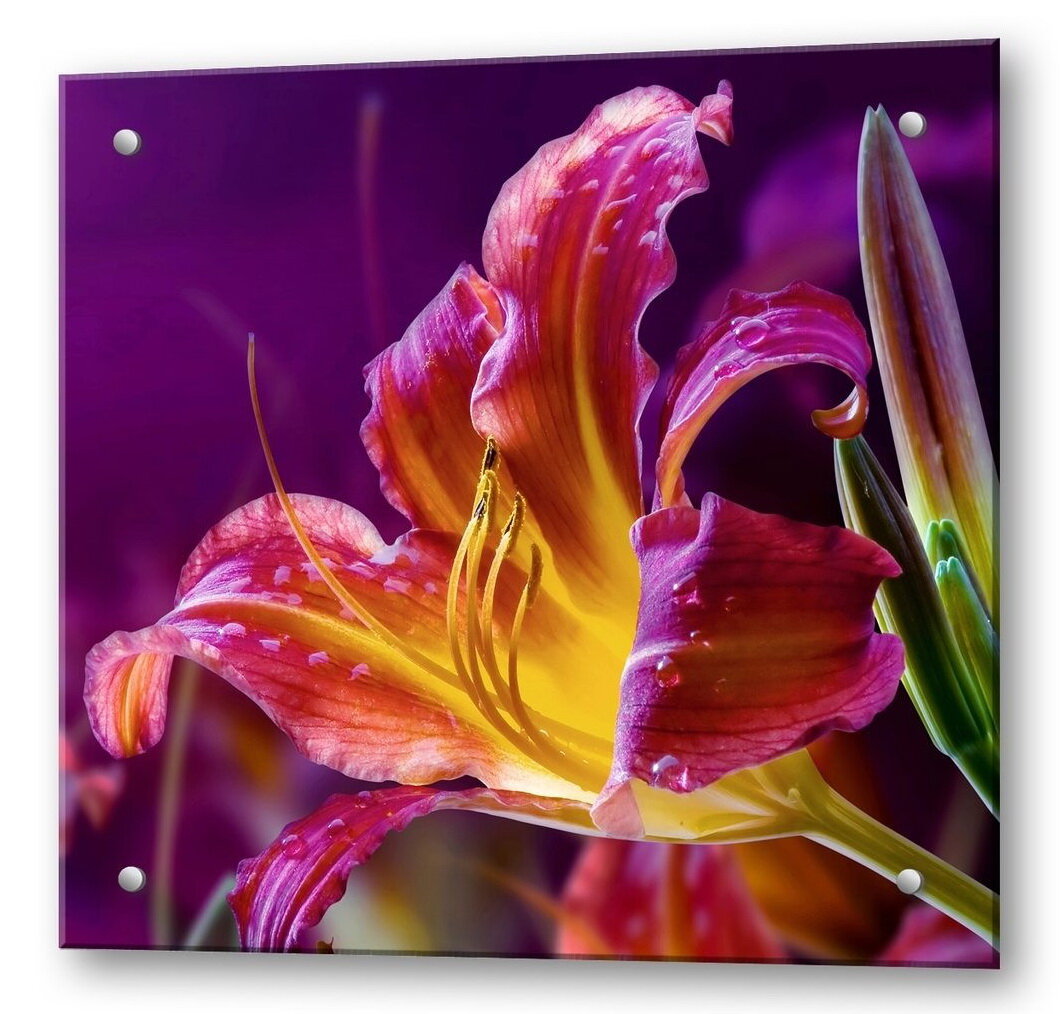 Кухонный экран из закаленного стекла "огненная лилия" - (600х600х4 мм)