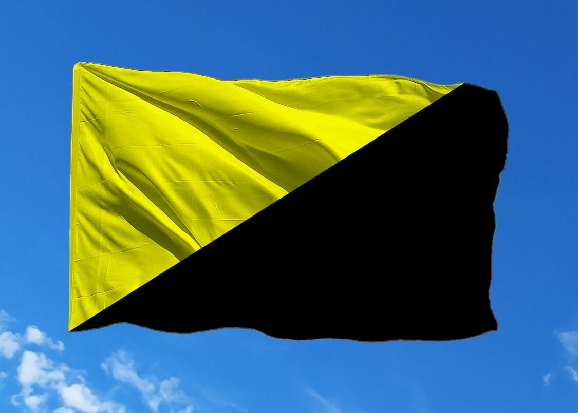 Флаг анархо-капитализма без изображений, 70х105 см на шёлке для ручного древка