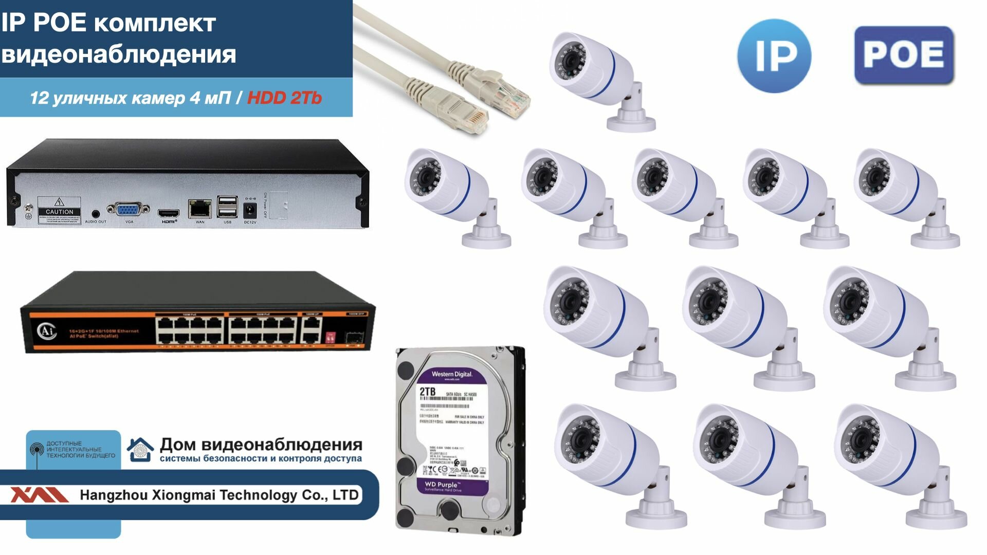 Полный IP POE комплект видеонаблюдения на 12 камер (KIT12IPPOE100W4MP-HDD2Tb)