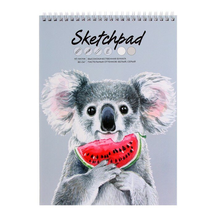 Феникс+ Скетчпад А4, 40 листов на гребне "Коала с арбузом", твёрдая обложка, матовая ламинация, блок 80 г/м2