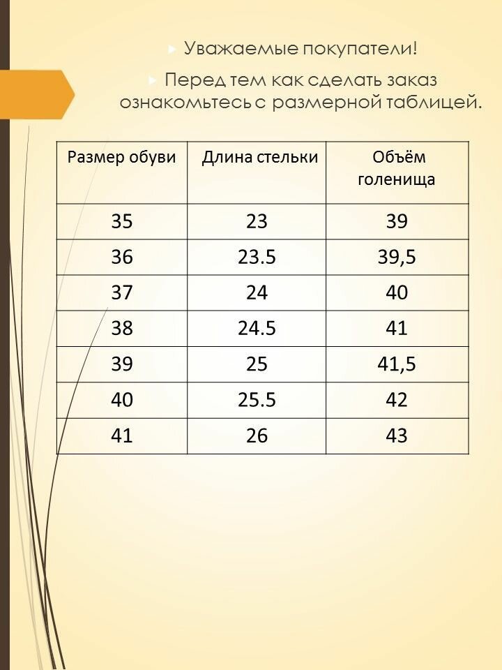 Сапоги ALEXFORME, полнота 6 (RU)/ на среднюю стопу, размер 41, черный — фото 1