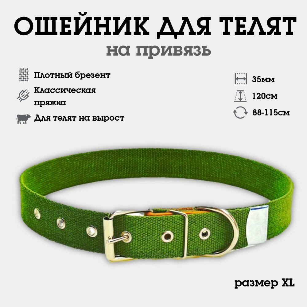 Ошейник для телят, лошадей, крупных собак, быков, КРС, коров, скота брезент, однослойный 35мм 120см