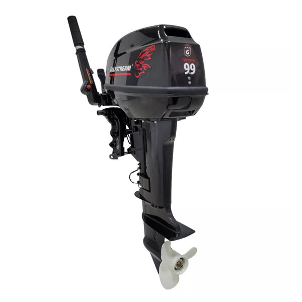 Golfstream Мотор лодочный T9.9BMS USB