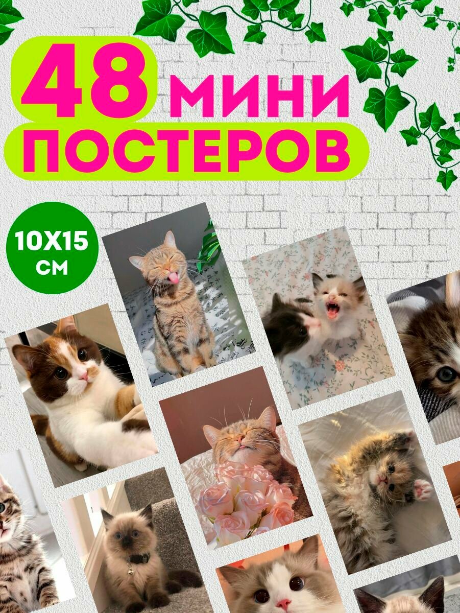 Набор мини постеров Милые котики, 48 постеров для интерьера !