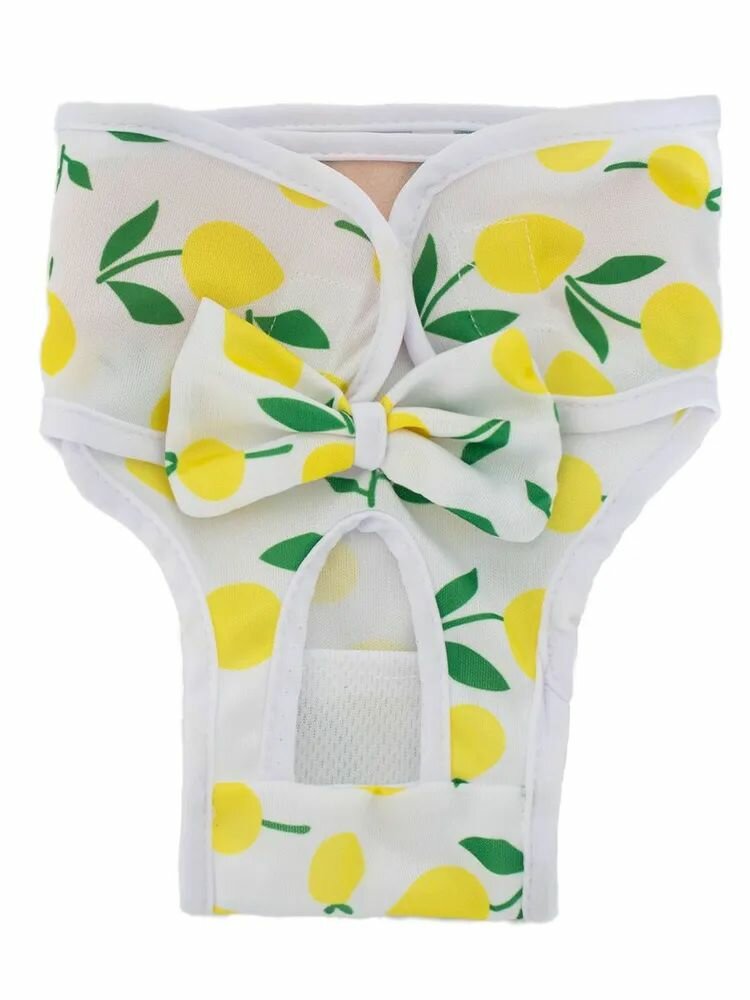 Трусы для собаки во время течки многоразовые. Подгузники для животных