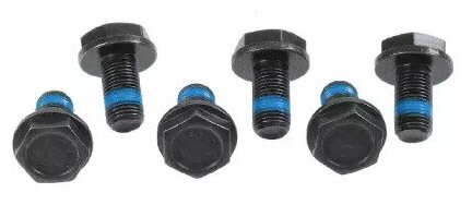 Болт маховика vag/ford/volvo m10x1x19.5 (к-т 6шт.)
