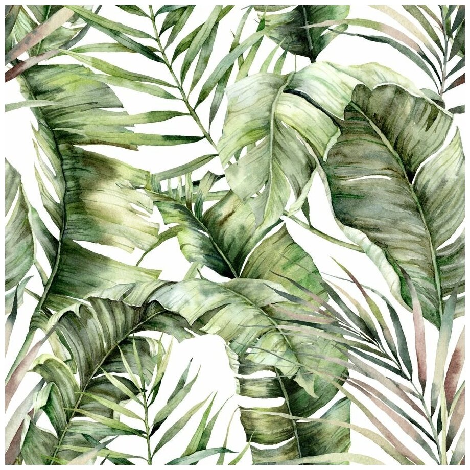 Фотообои Уютная стена "Экзотические банановые листья" 270х270 см Виниловые Бесшовные (единым полотном)