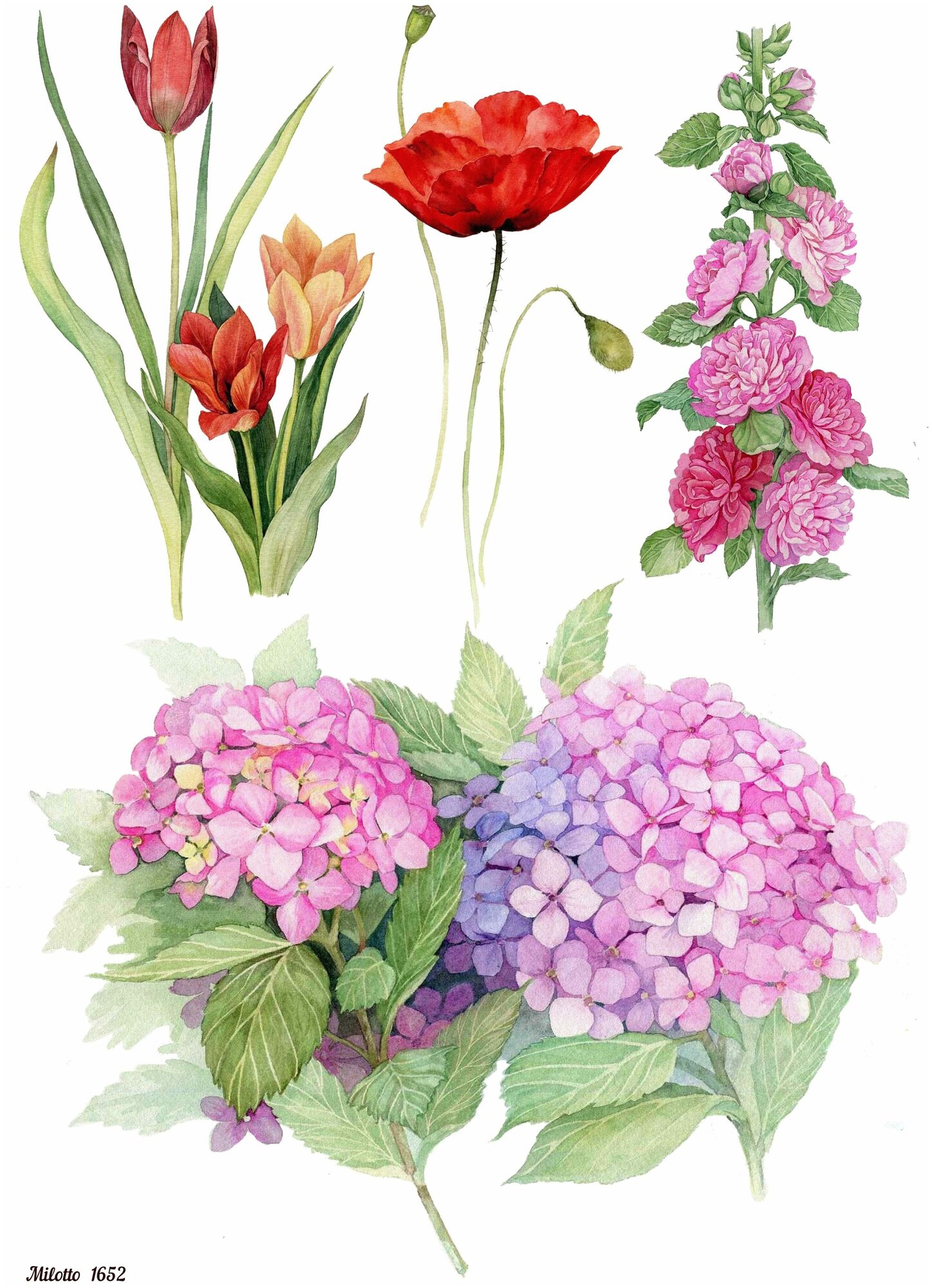 Рисовая бумага для декупажа А4 ультратонкая салфетка 1652 цветы гортензии тюльпаны букет винтаж крафт Milotto