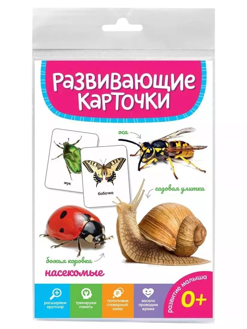 Насекомые. Развивающие карточки ()