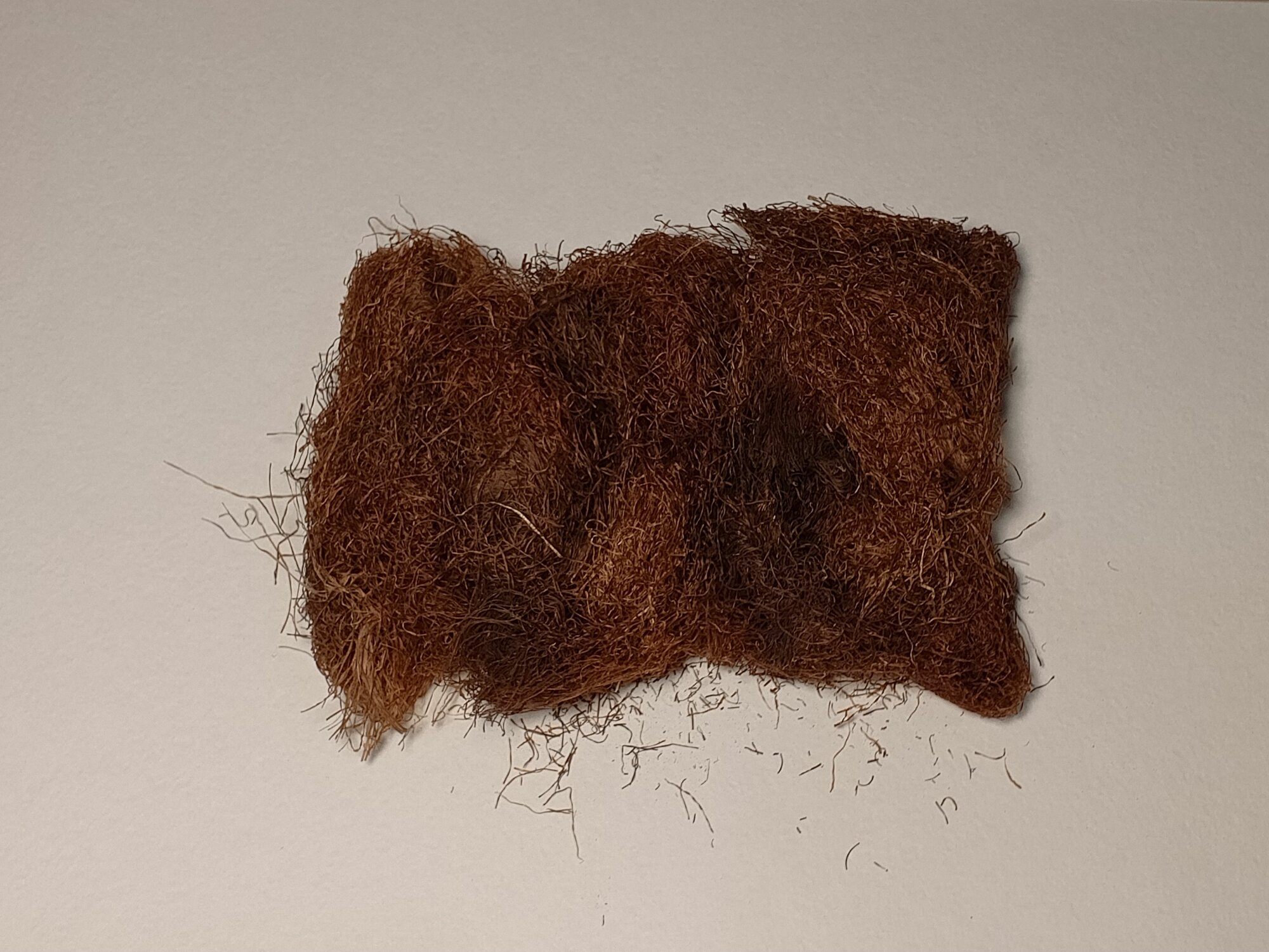 Кукурузные рыльца