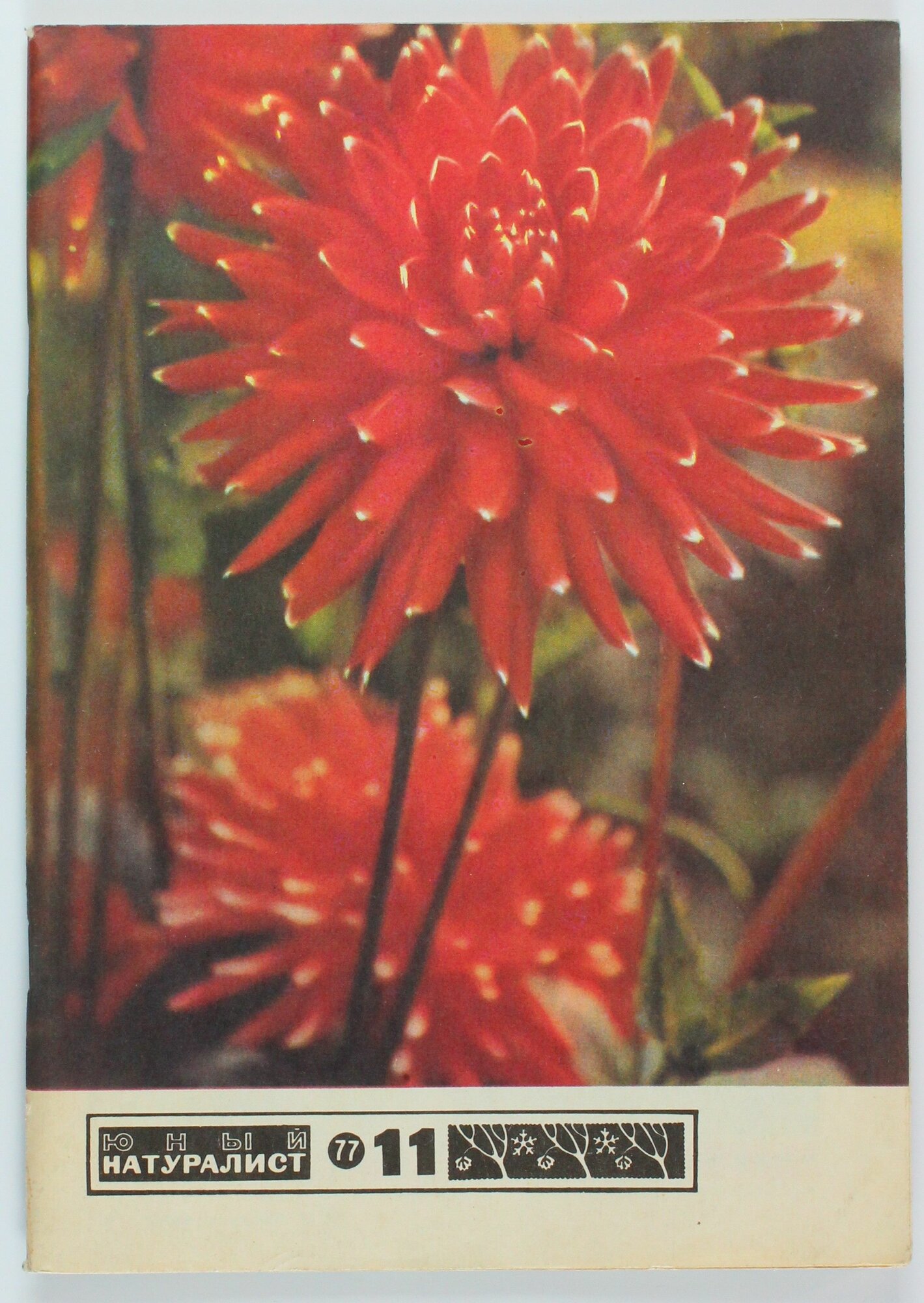 Винтажный журнал СССР Юный Натуралист, 1977 год