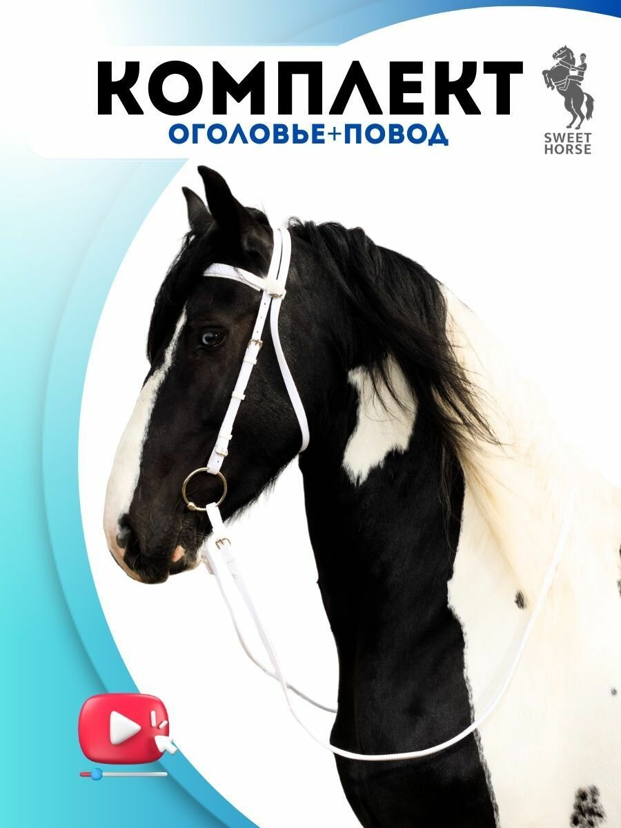 Sweethorse / Комплект оголовье + повод для лошади / Full, белый