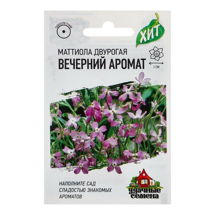 Семена цветов Маттиола двурогая 'Вечерний аромат', смесь, О, 0,3 г