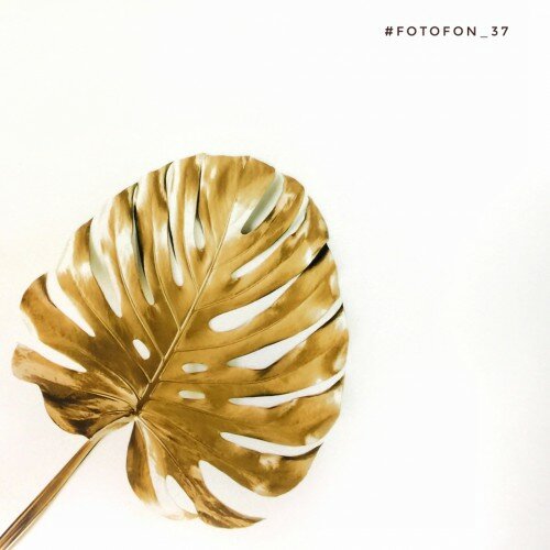 Фотофон LAXY №37