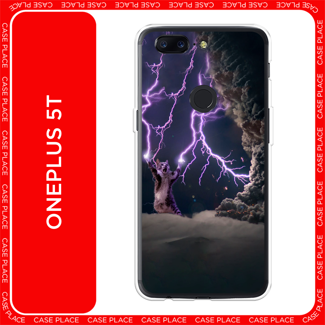 Чехол на OnePlus 5T / ВанПлюс 5Т с принтом Кот призыватель погоды