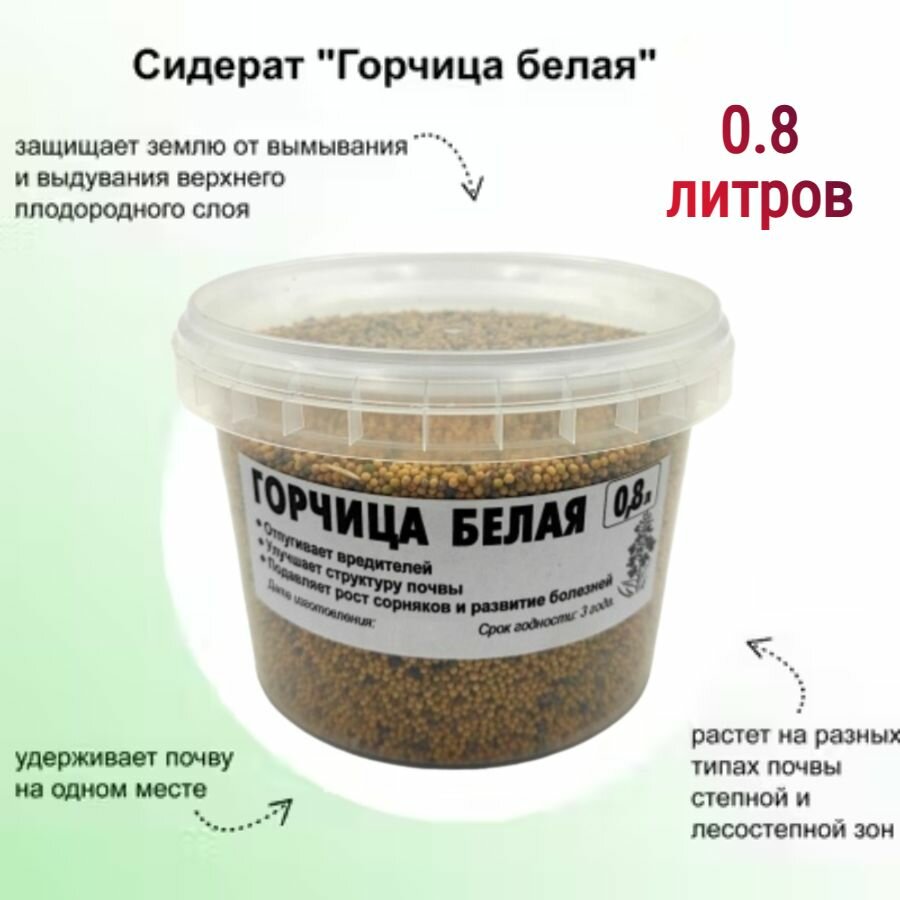 Сидерат "Горчица белая", 0.8л - способствует разрыхлению почвы, улучшению ее аэрации, подавляет рост сорняков.