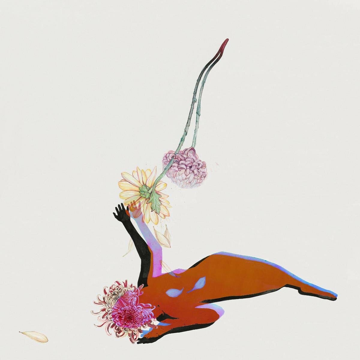 FUTURE ISLANDS The Far Field (Компакт-диск)
