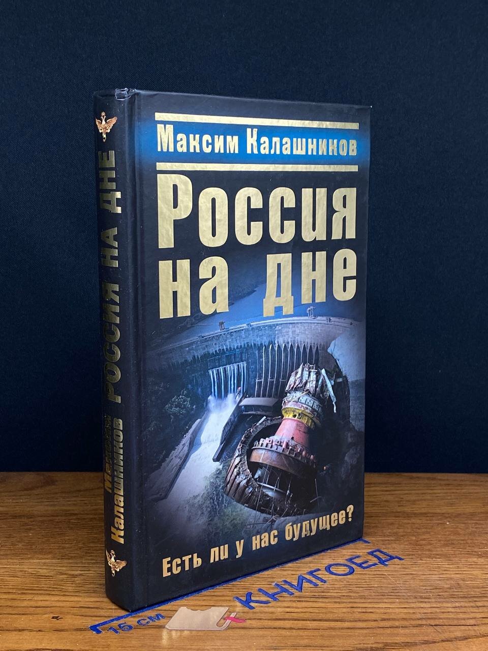 Книга. Россия на дне. Есть ли у нас будущее? 2009 (2044427600519)