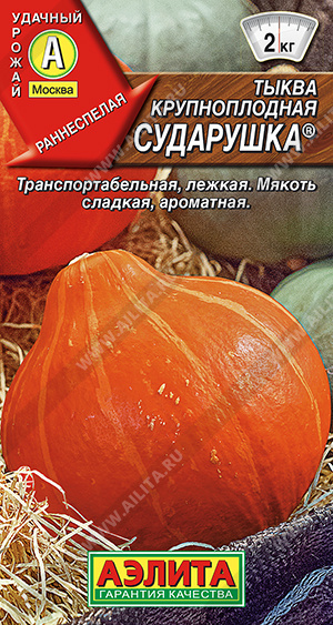 Семена тыквы аэлита "Сударушка", крупноплодные, однолетние, раннеспелые, 1 г