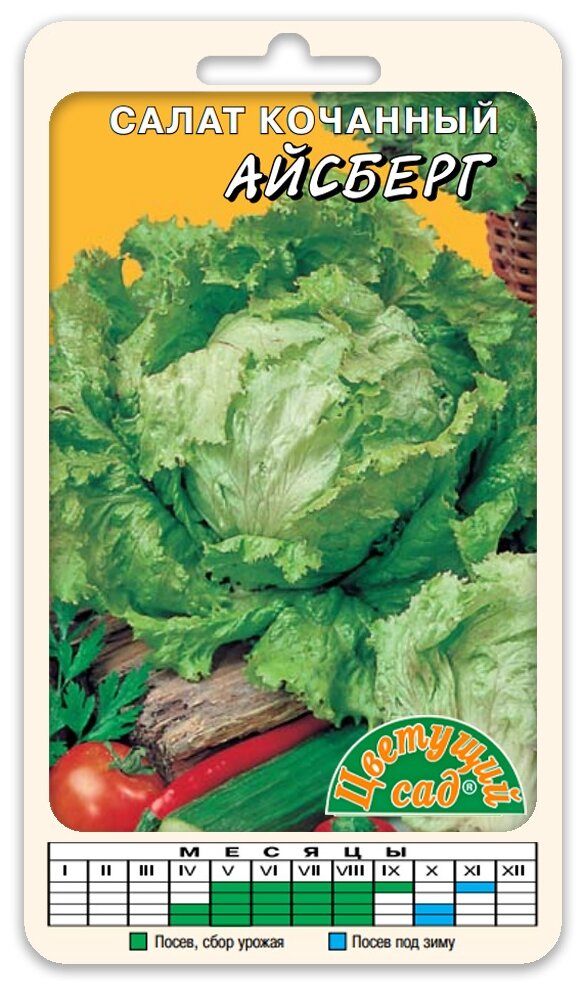 Семена Салат Айсберг кочанный 0,5г (Цветущий Сад)