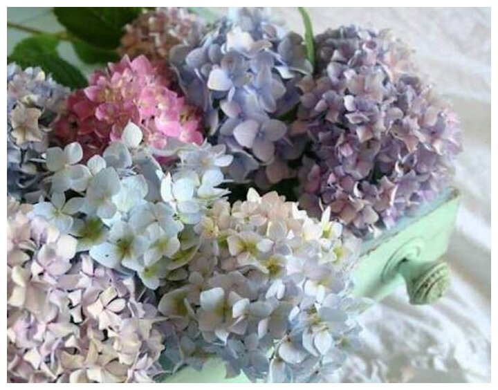 Набор алмазной вышивки "Разноцветие", размер 50х39см, 56 цветов