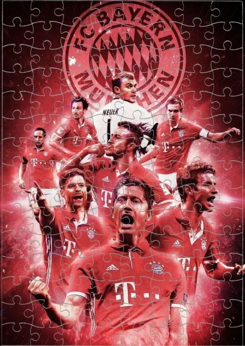 Пазл Бавария, Bayern №8