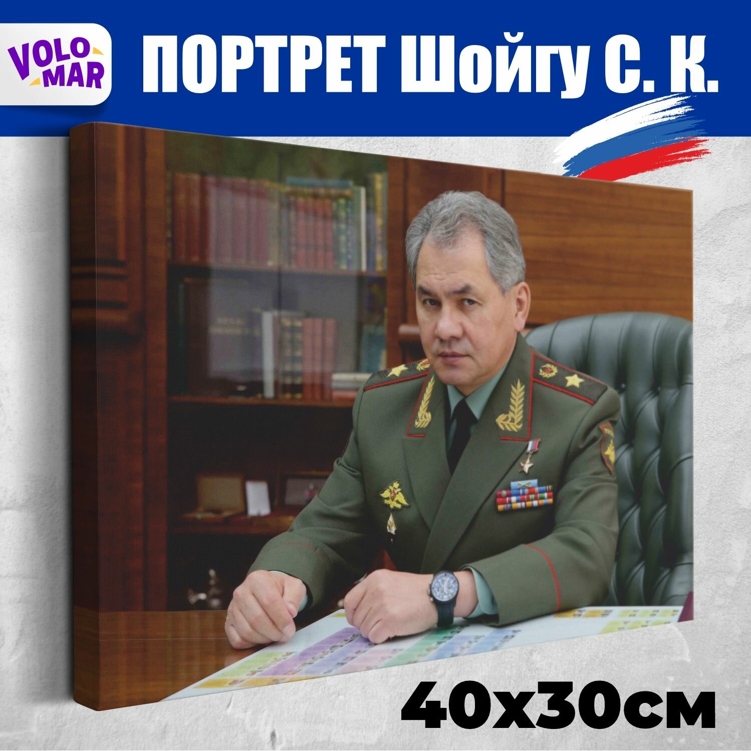 Картина на холсте для интерьера "Шойгу", 400х300 мм, VoloMar