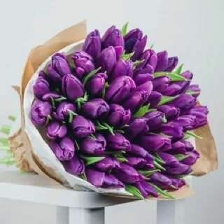 Букет тюльпанов, 51 шт.