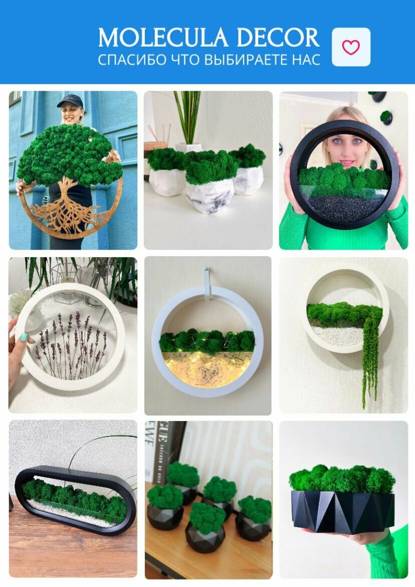 Ваза со стабилизированным мхом, сухоцветами и искусственными цветами, Molecula Decor, черный, на стену, на стол, украшение декоративное интерьерное настенное / настольное, 35 х 15 х 6 см