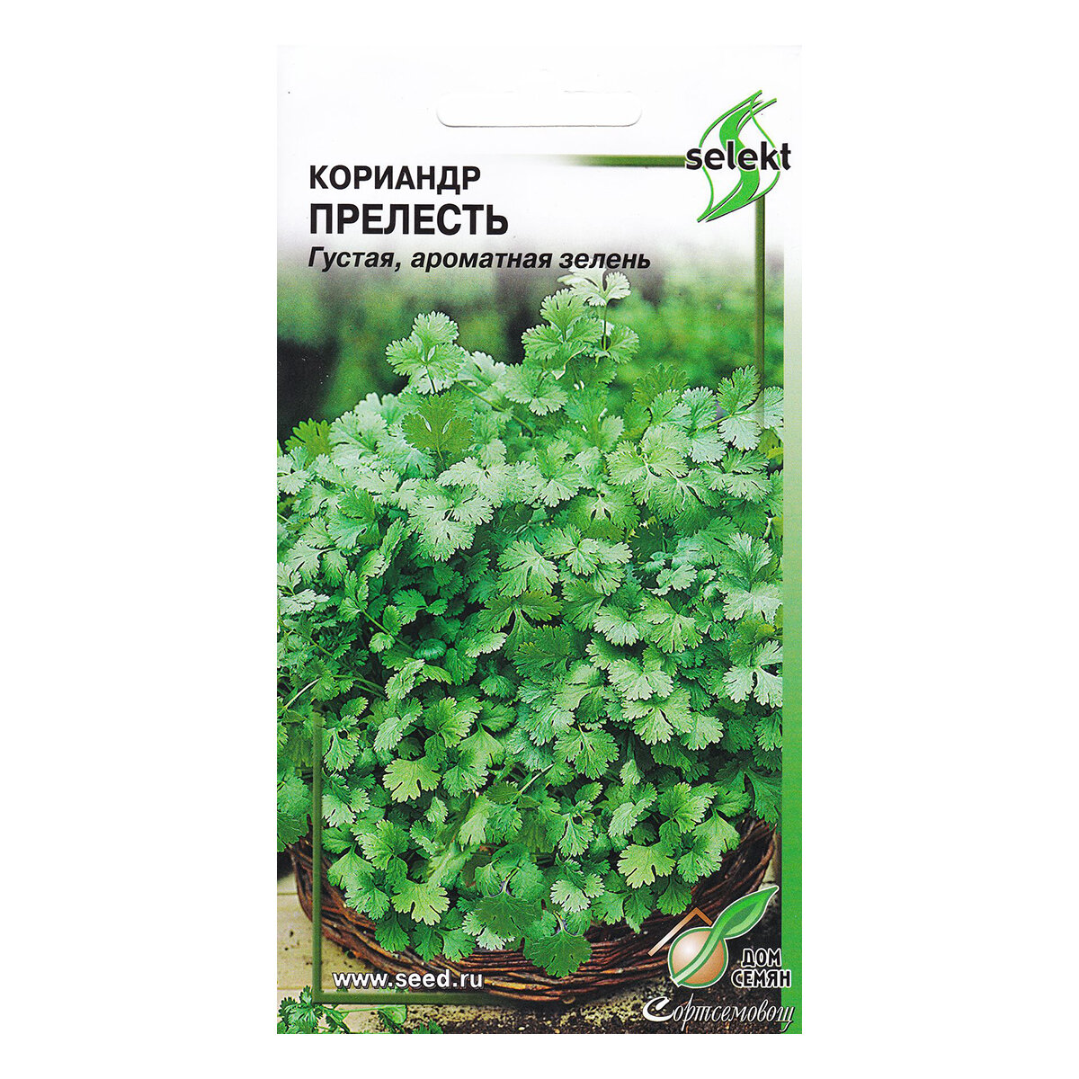 Семена кориандра Прелесть 130 шт – свежие семена для ароматных блюд