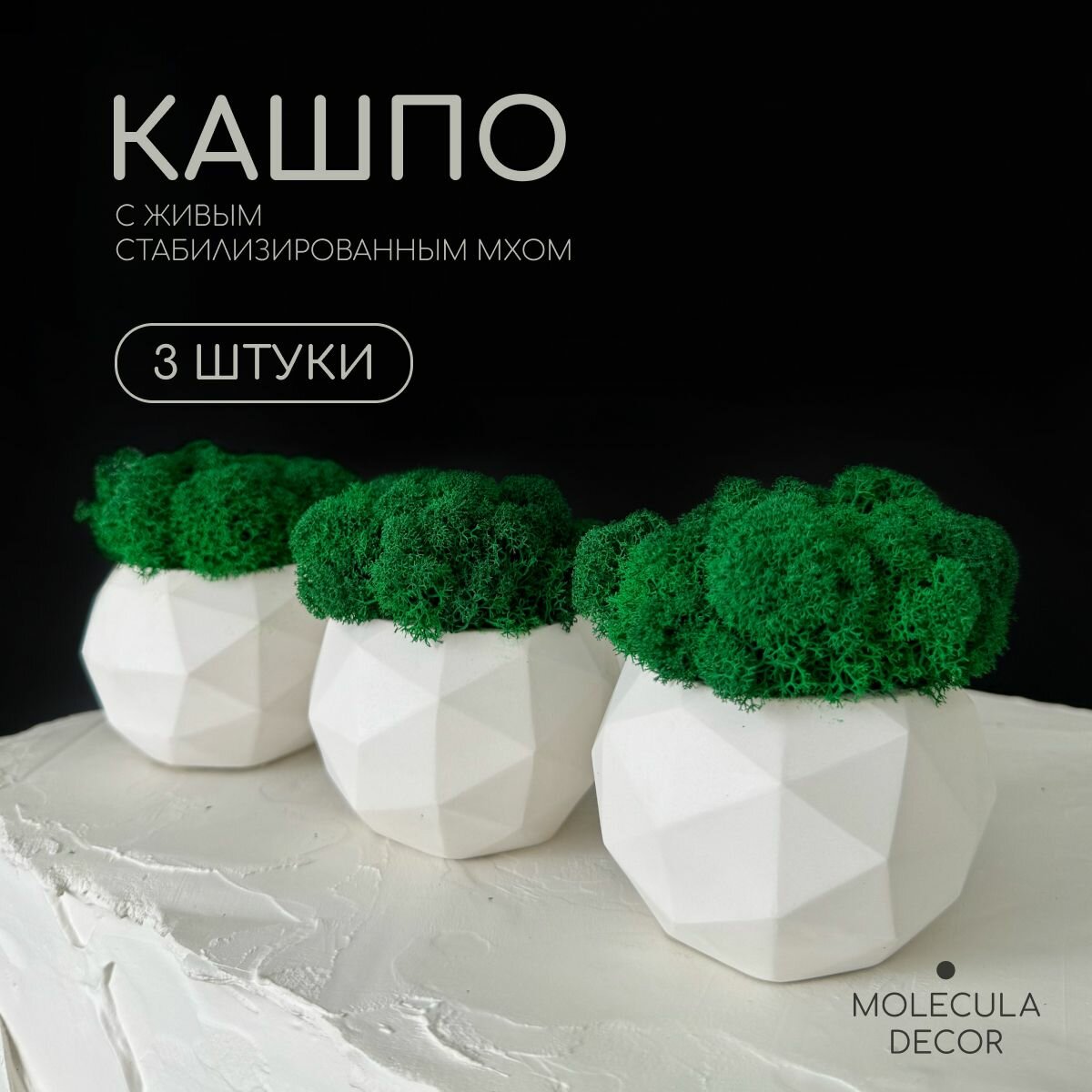 Кашпо со мхом, 3 шт Molecula Decor