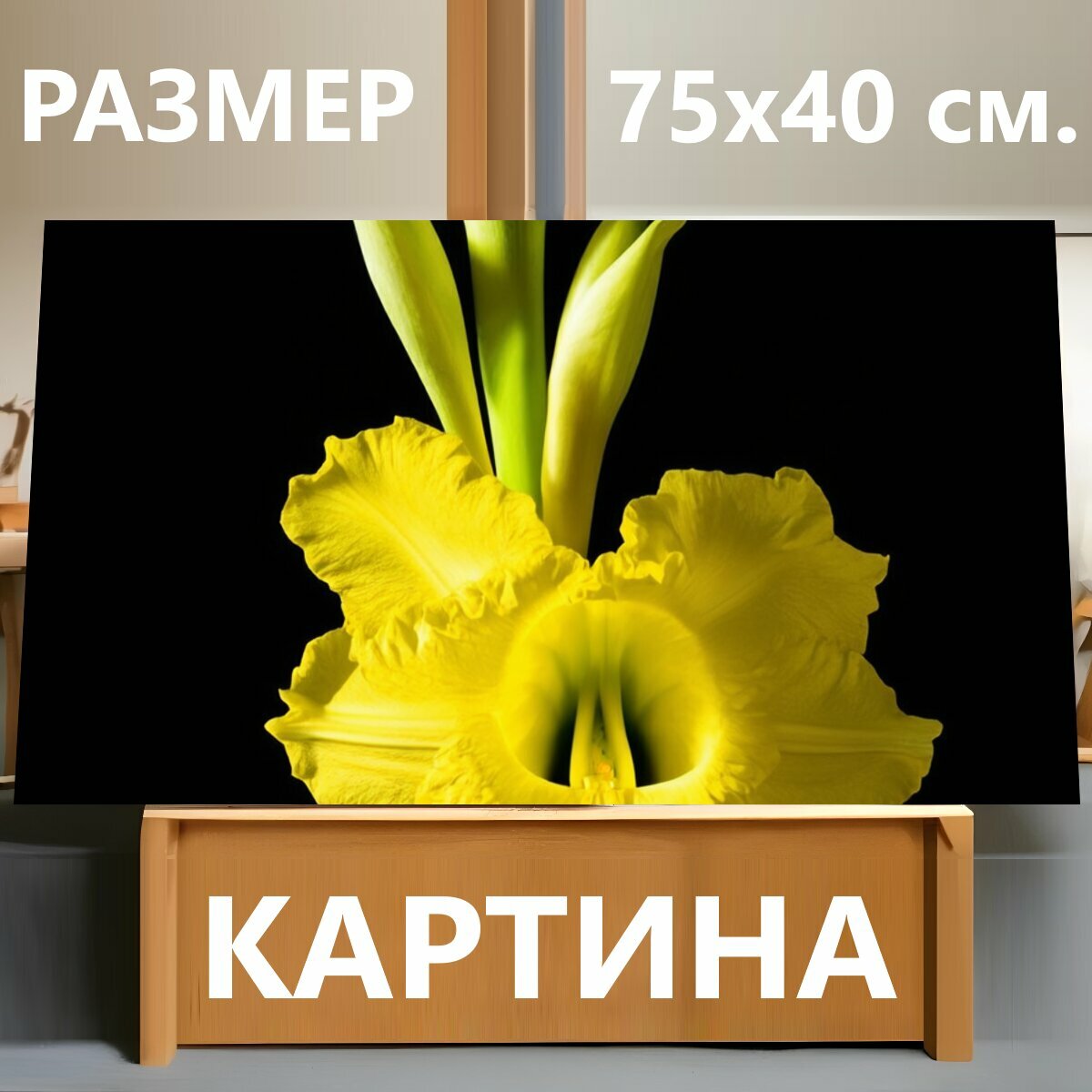 Картина на холсте "Гладиолусы цвета солнечного желтого на темном фоне, создающие настроение весны и юности, выполненные в натюрморте." на подрамнике 75х40 см. для интерьера