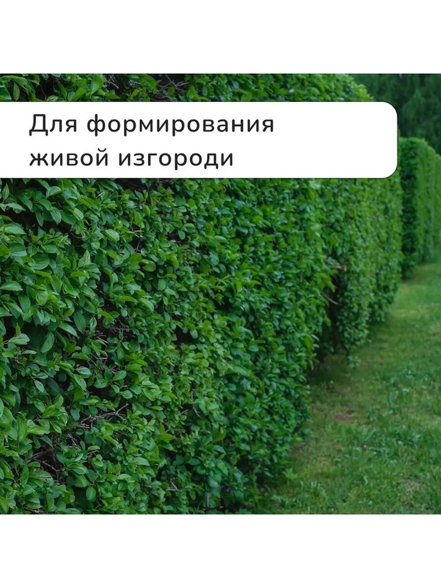 Эффективный кусторез для аккуратного сада