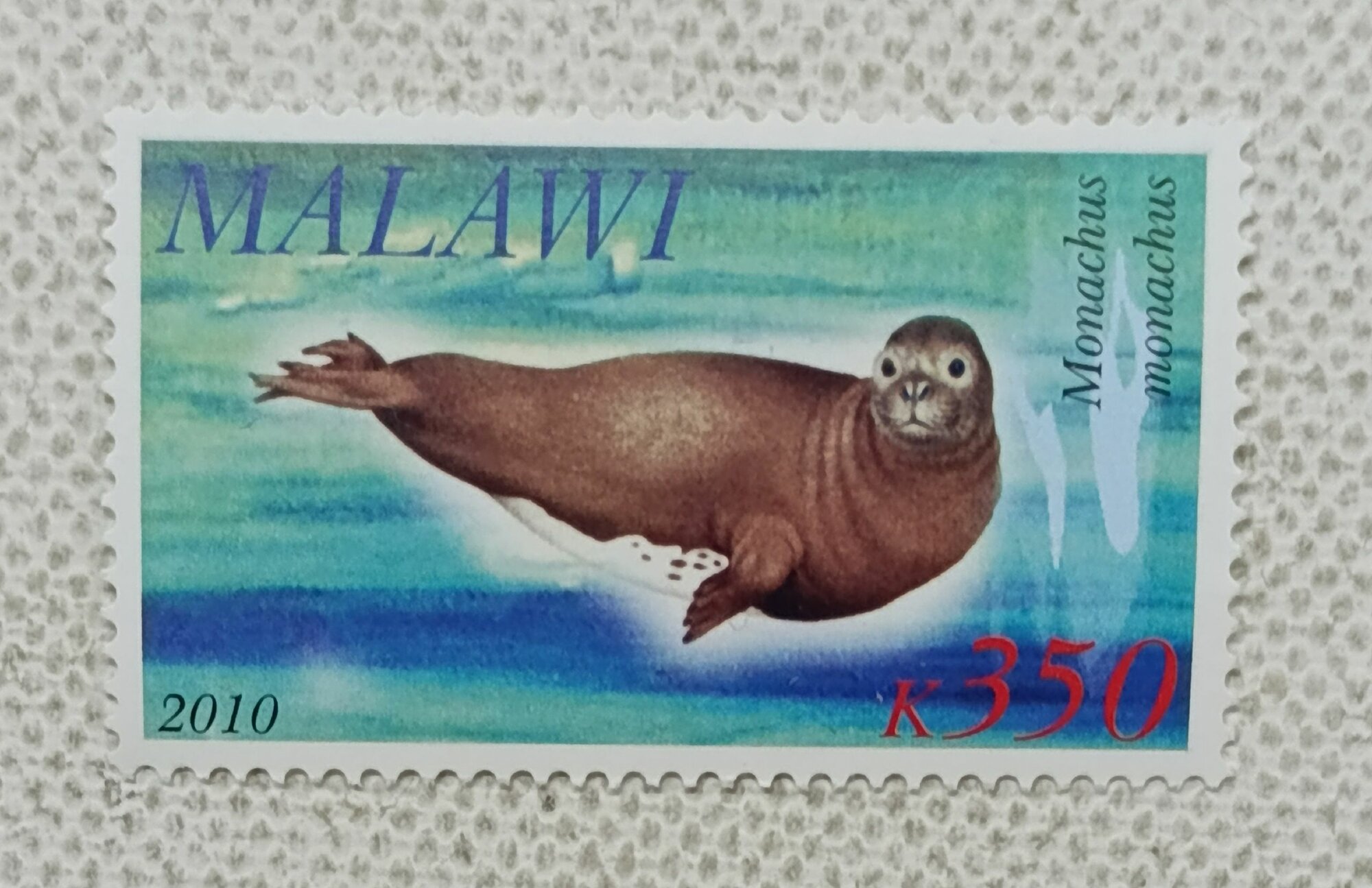 Малави марка "Тюлень-монах" 2010 год
