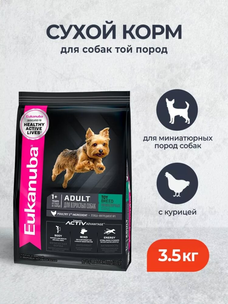 Сухой корм Eukanuba Adult Toy Breed для взрослых собак миниатюрных пород, 3.5 кг