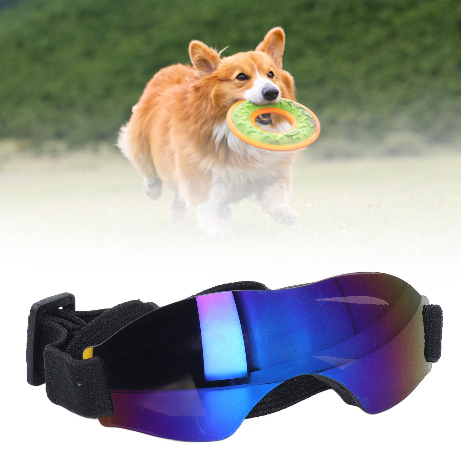 Очки для домашних животных Wind Sand UV Protective Cool Style Dog Cat Солнцезащитные очки для активного отдыха Blue