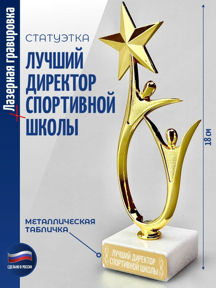 Статуэтка "Лучший директор спортивной школы" со звездой (18 см)