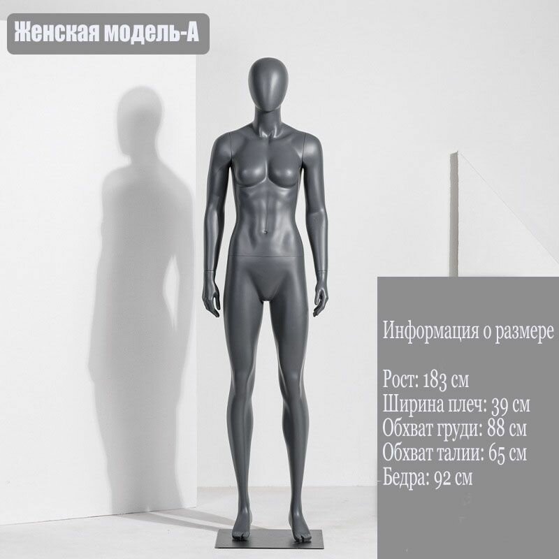 Манекен торса демонстрационный