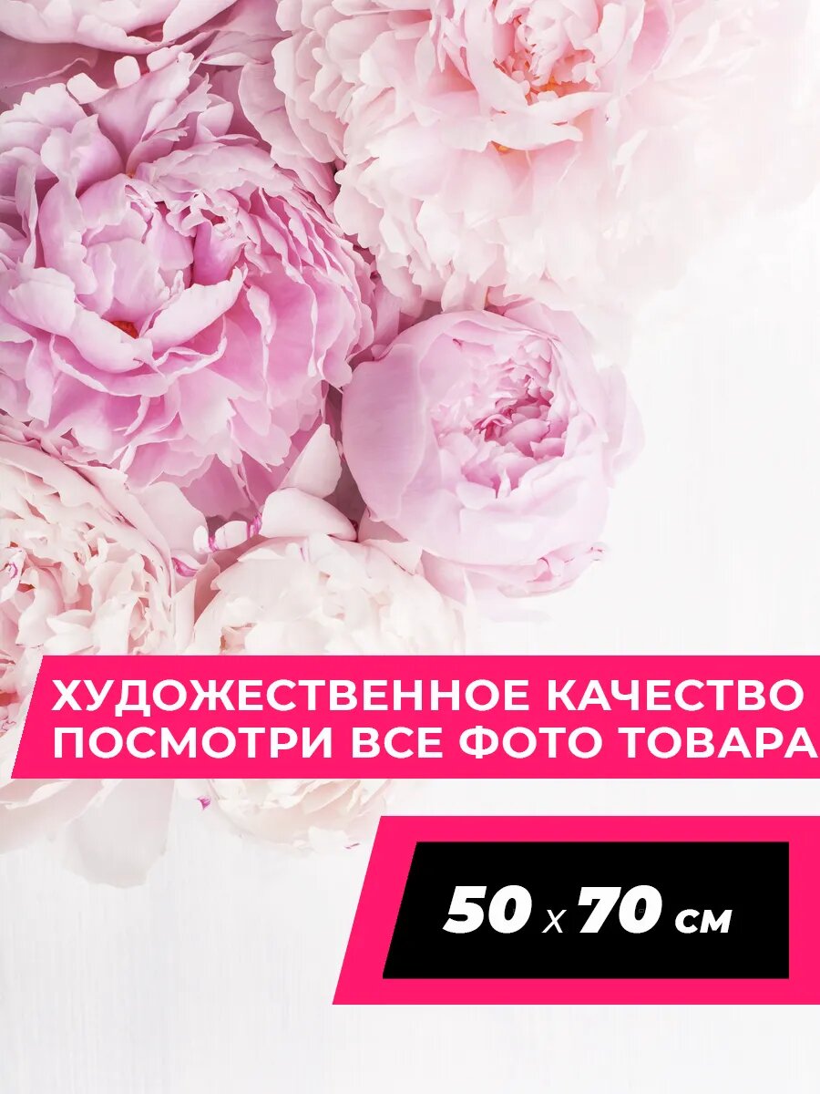 Постер пионы на стену 73 Paeonia 50 на 70, матовая фотобумага премиум качества