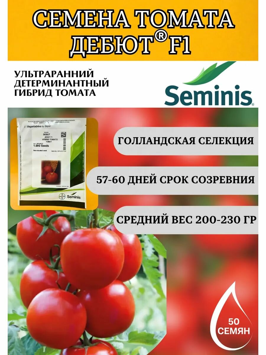 Семена томата Дебют F1 Seminis 50 шт профессиональные семена
