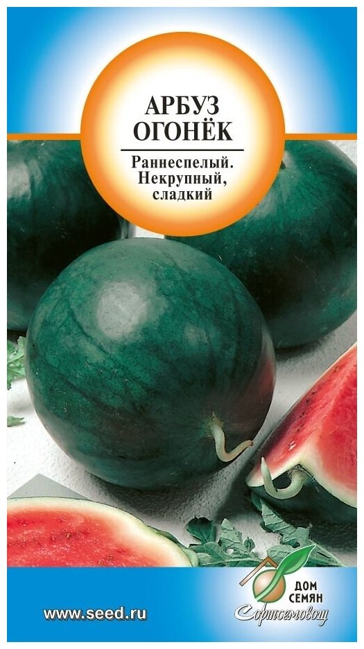 Арбуз Огонёк, 10 семян