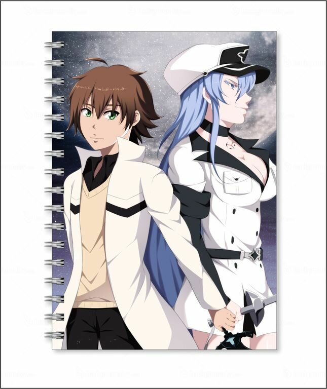 Тетрадь Убийца Акамэ , Akame ga Kill №15