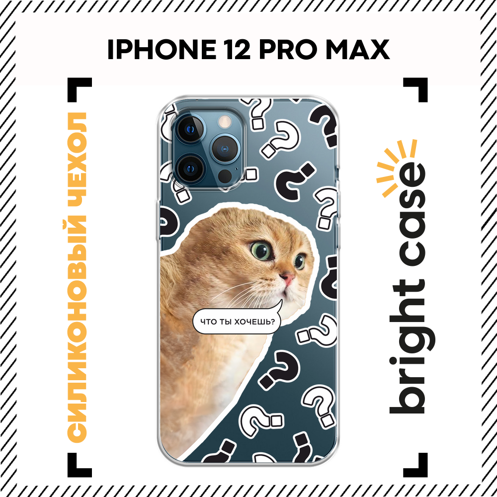Чехол на Apple iPhone 12 Pro Max / Айфон 12 Про Макс с принтом С котом парный, прозрачный