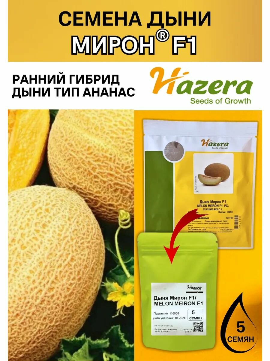 Семена дыни Мирон F1 5 штук