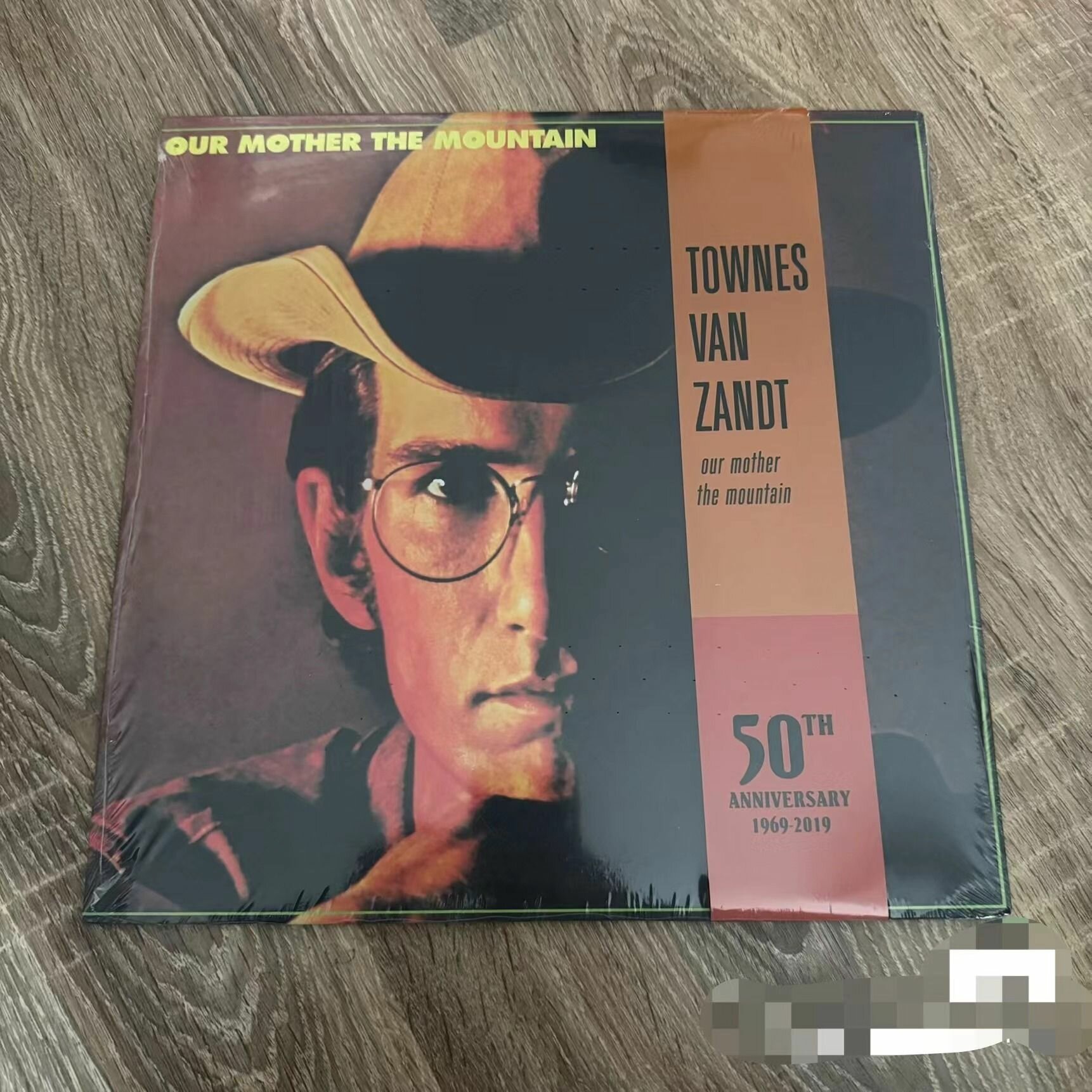 Виниловая пластинка Townes Van Zandt Our mother the mountain