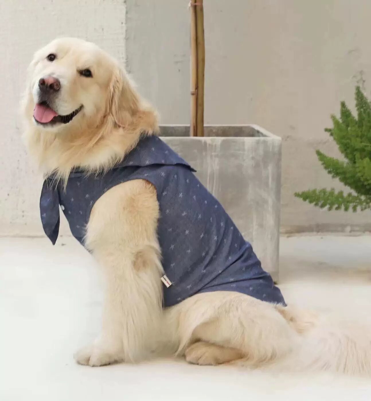 DOG DEPT Летняя прохладная дышащая джинсовая тенселовая звездная морская рубашка для собаки размер 9 (эквивалент XXL)